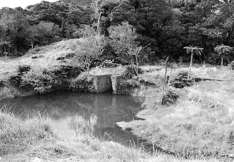 Ohinemuri - Golden Cross Mine Sites
